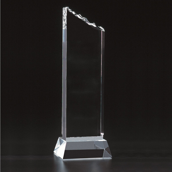 Summit Award - Awardshop